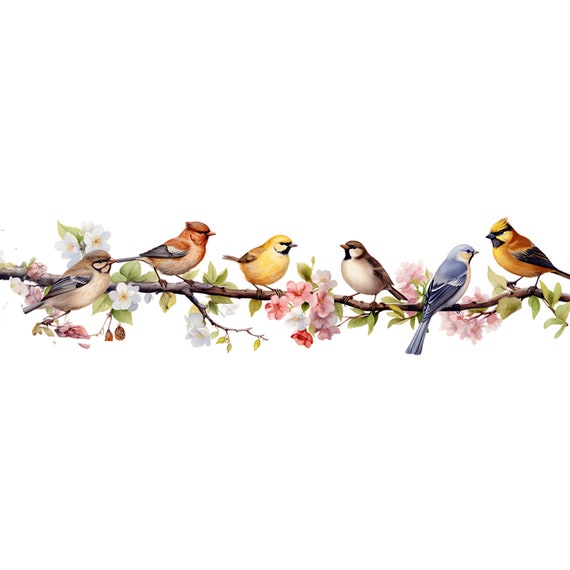 Birds And Flowers Border Cute Couple Bird In Spring Flower Border