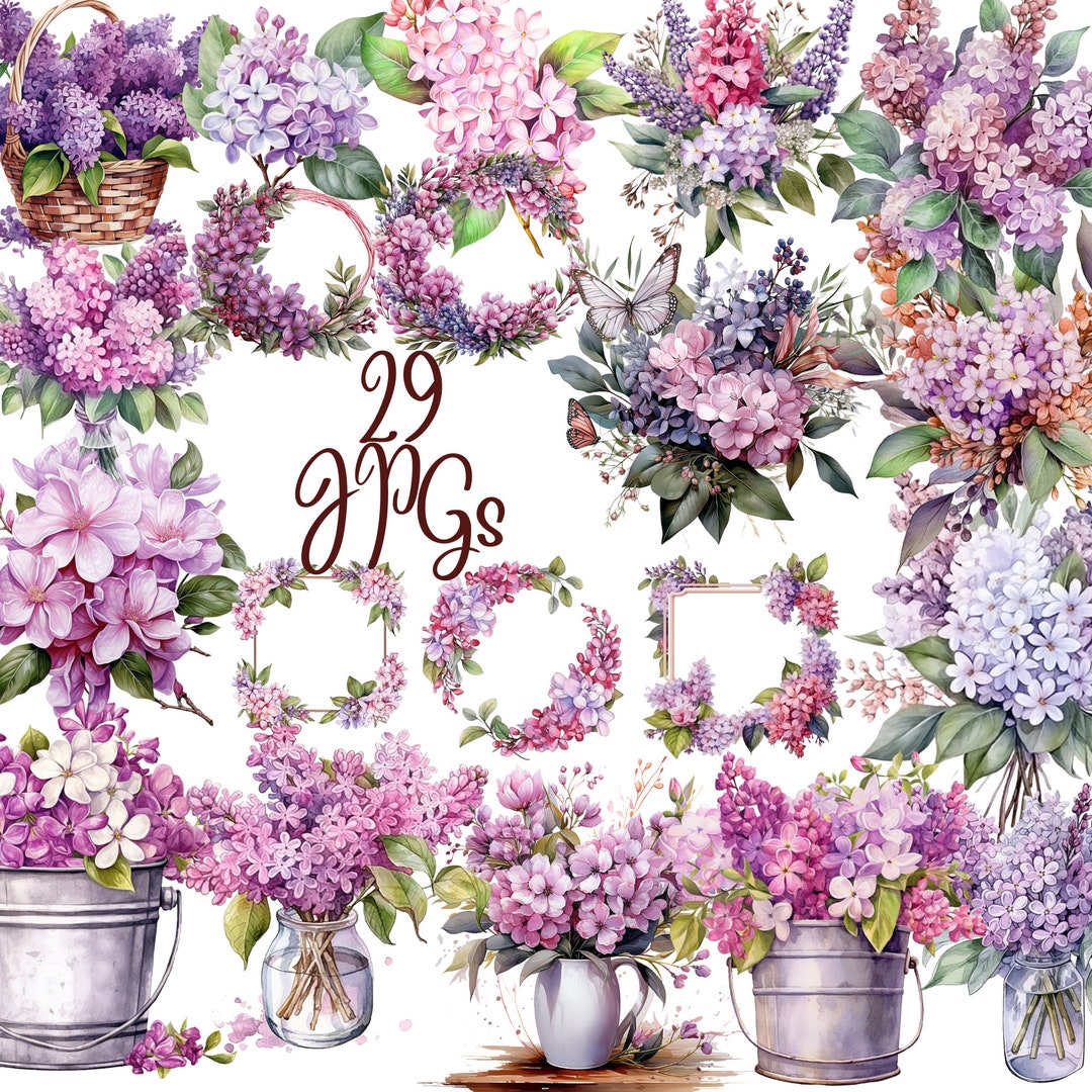 29 Watercolor Lilac Clipar, Jpgs, High Quality Jpgs, Digital Download ...