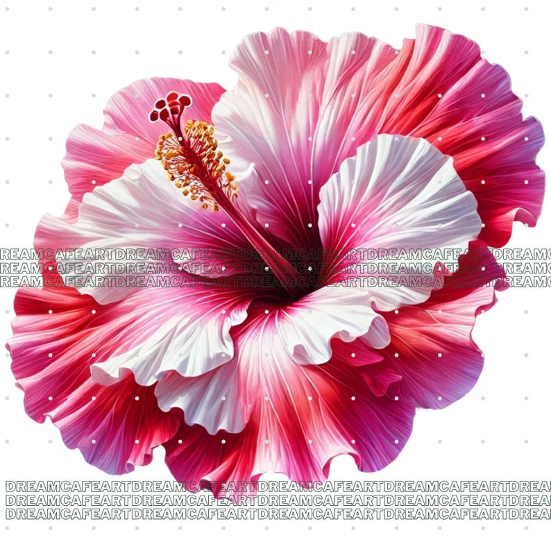 90 PNG Tropical Hibiscus Clipart Bundle | Bright Floral Illustrations ...