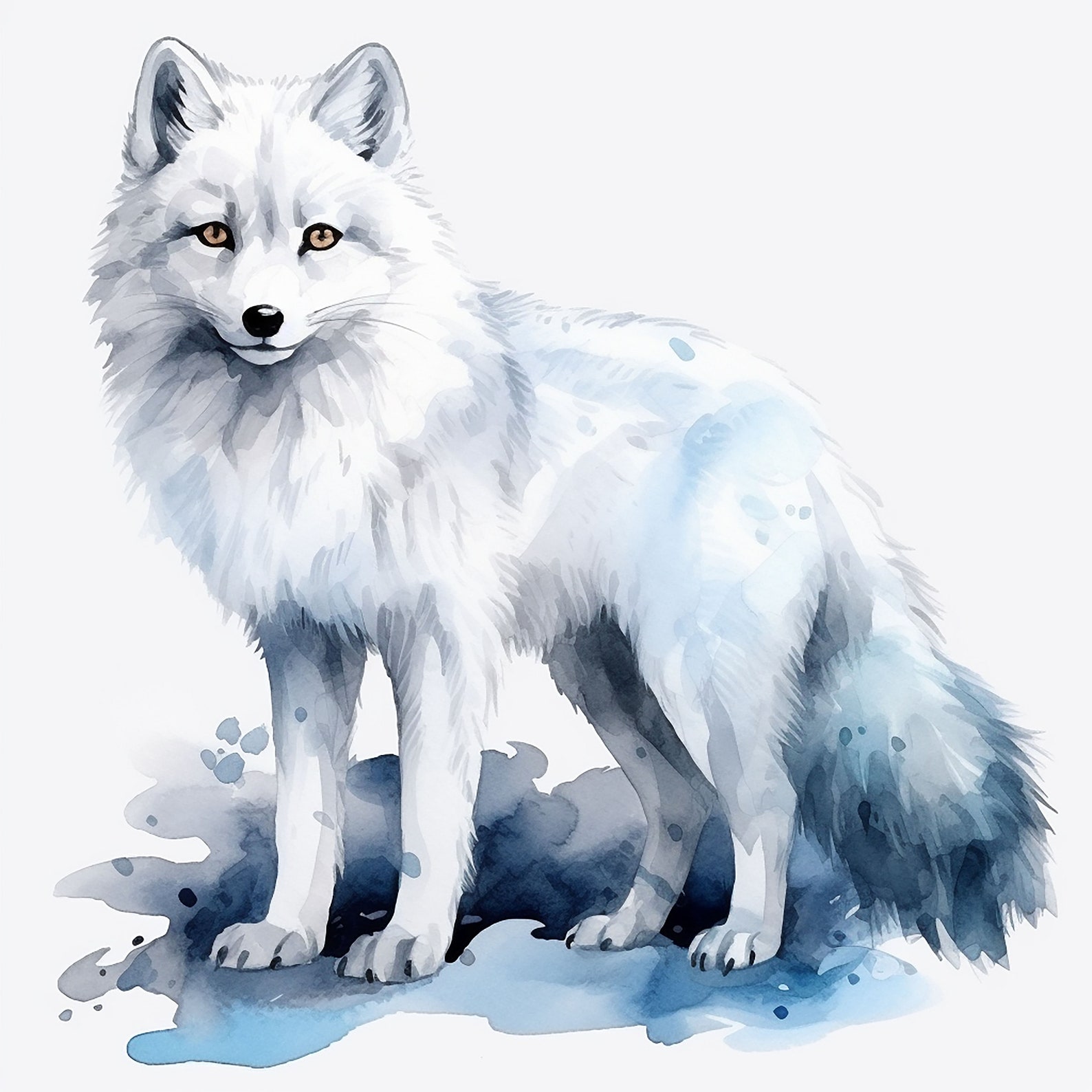 19 Winter Arctic Fox Clipart Jpgs, Printable Watercolor Clipart, Winter ...