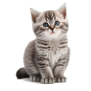 10 Kitten Clipart Png, Kitten Сlip Art, Cute Cats, Cute Cats, Kitten ...