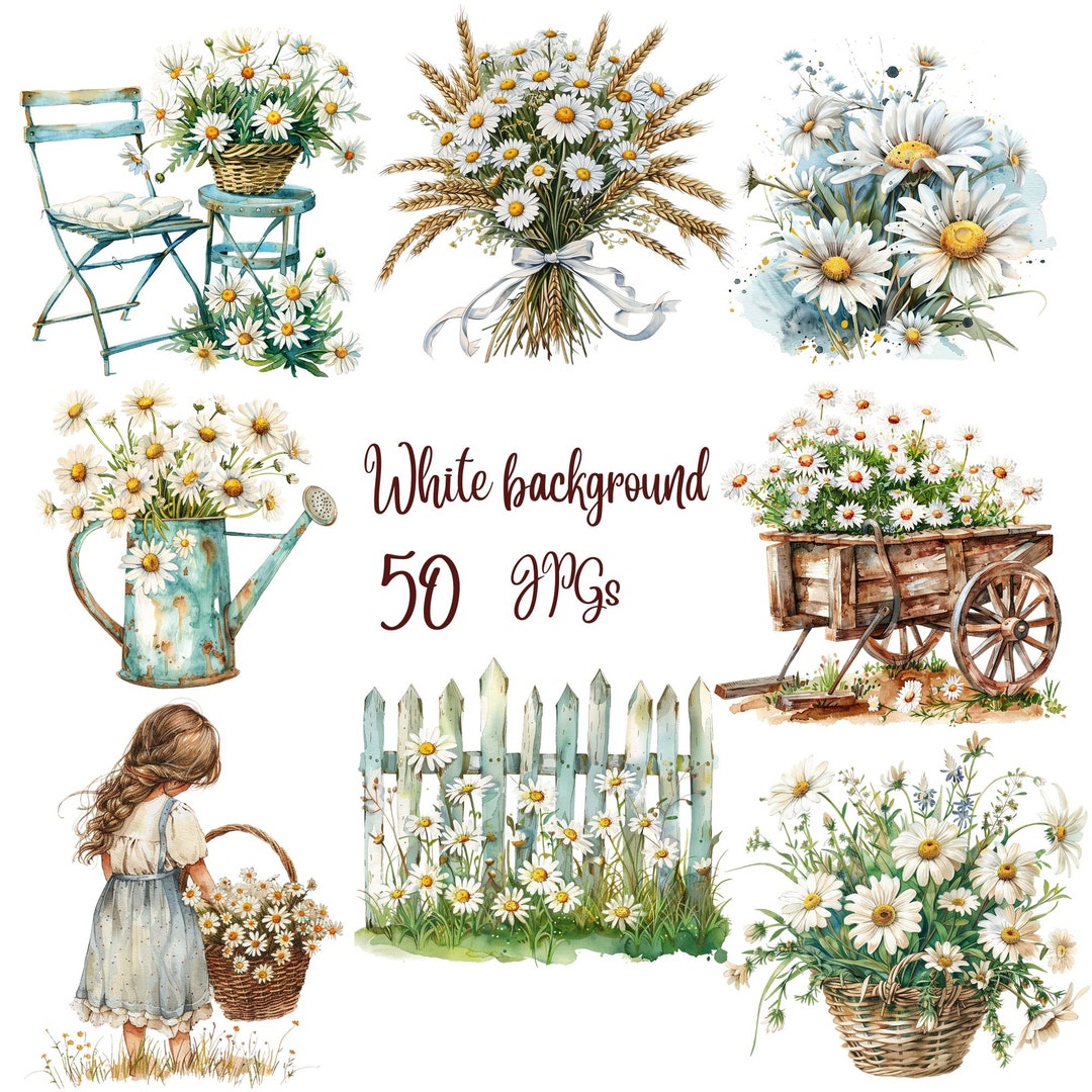 50 JPG, Daisies Clipart Bundle, Daisies Bouquet Clipart, Daisy Clipart ...