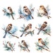 21 Sparrow Watercolor Clipart, Sparrows PNG Bundle, Watercolor Sparrow ...