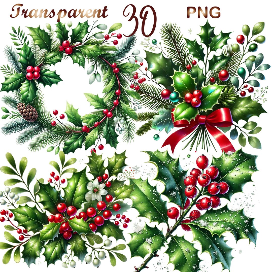 30 PNG Christmas Holly & Mistletoe Clipart Bundle, Set 2, Festive ...