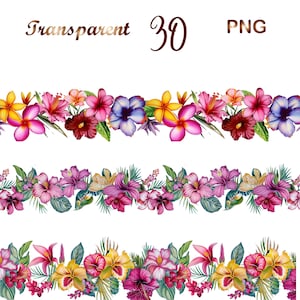 30 PNG Flower Border, Floral Clipart, Seamless Flower Border, Orchids ...