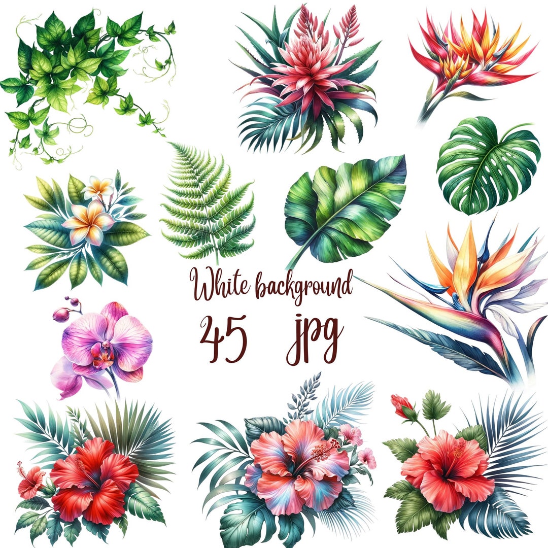 45 Jpgs, Watercolor Tropical Flowers and Leaves Clipart, Tropical ...