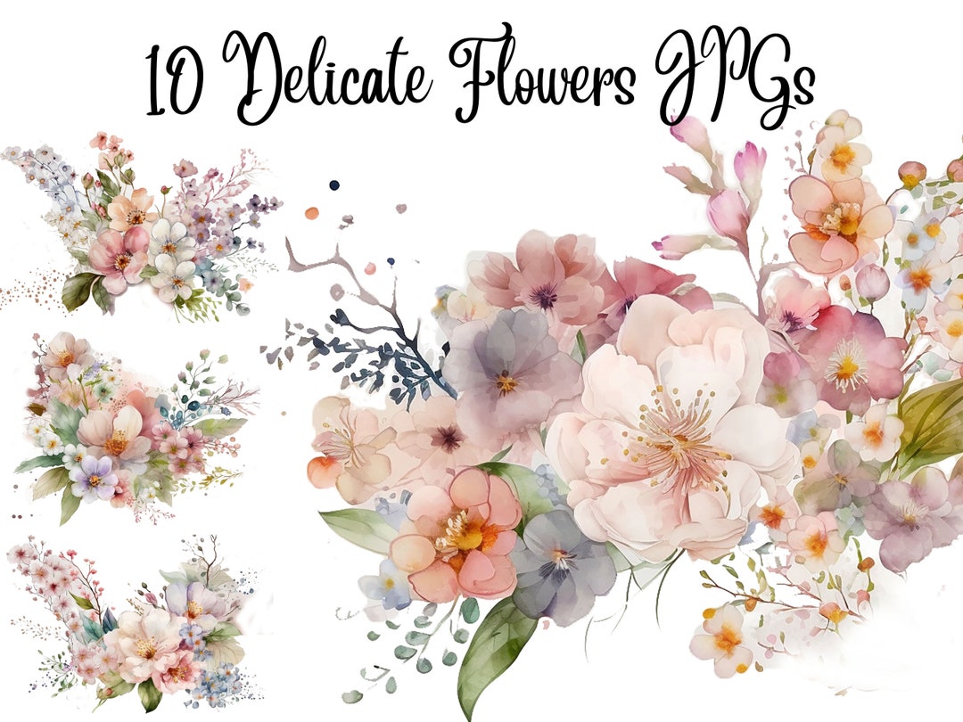 10 Delicate Florals, Floral Clipart, Jpgs, Commercial Use, Digital ...
