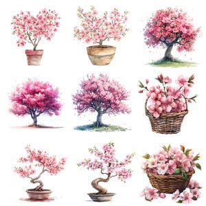 145 PNG, Watercolor Sakura Clipart Bundle, Spring Flowers Clipart ...