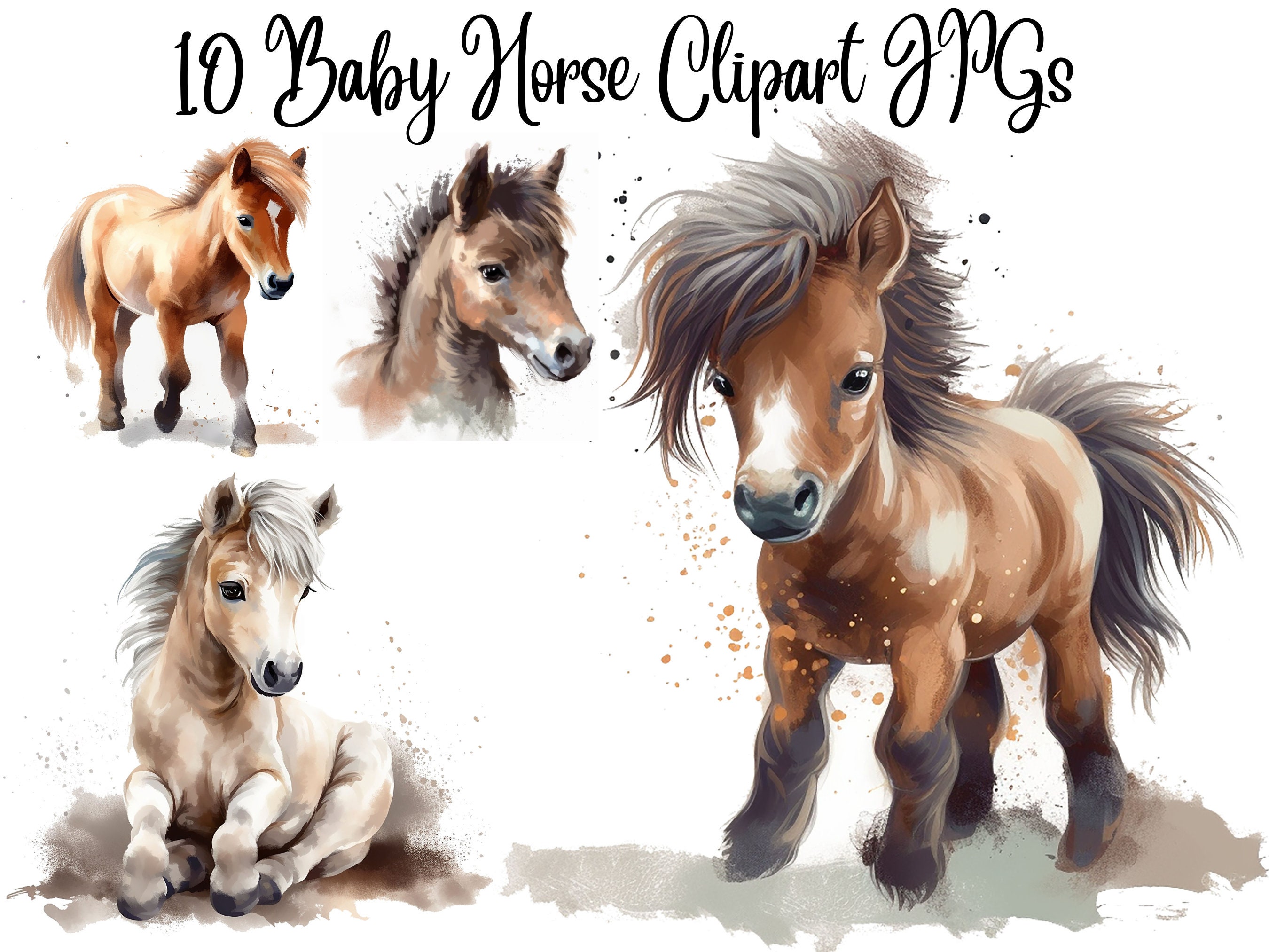 Baby Horse Clip Art
