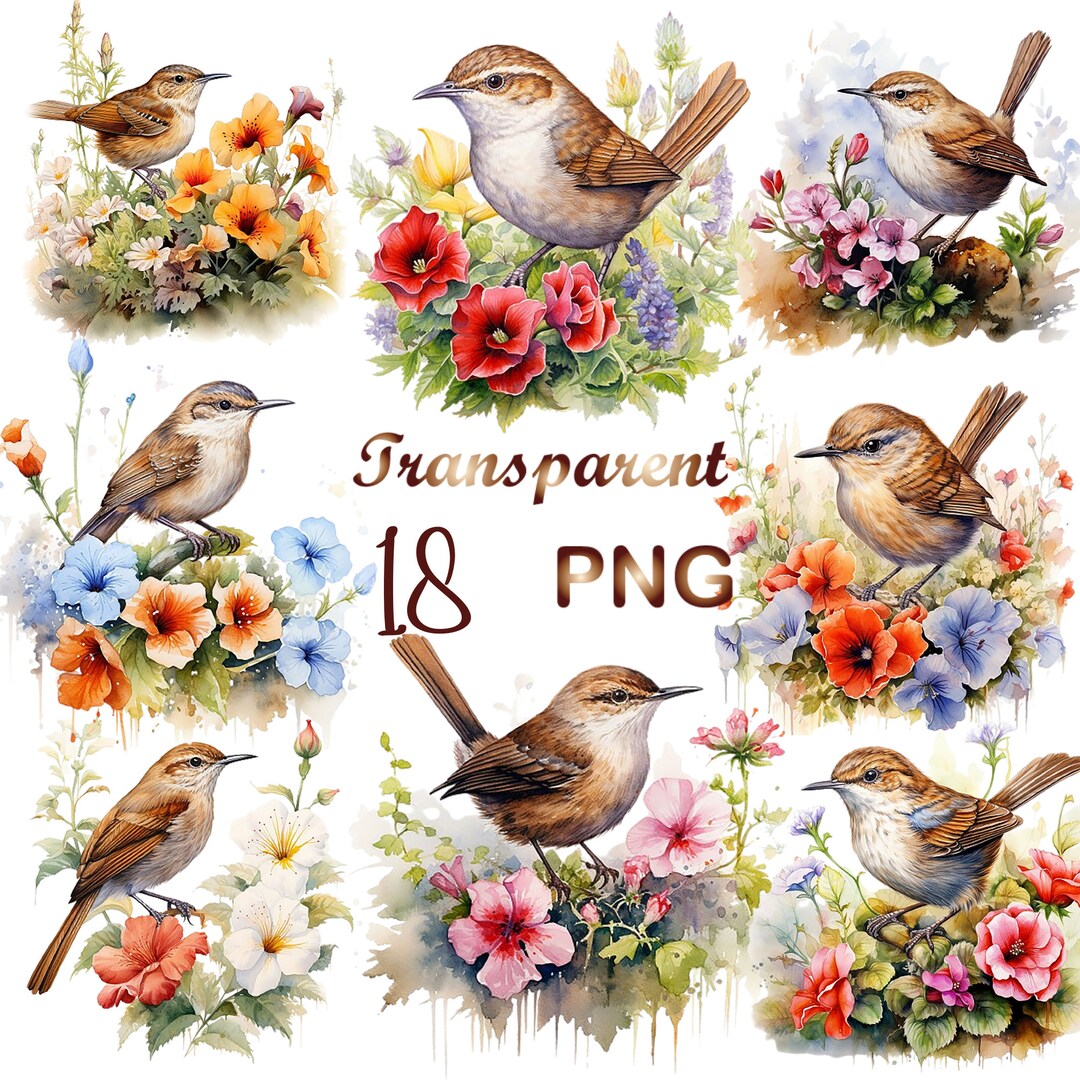18 Spring Wren Clipart PNG, Wrens Flowers Clipart, Watercolor Wrens ...