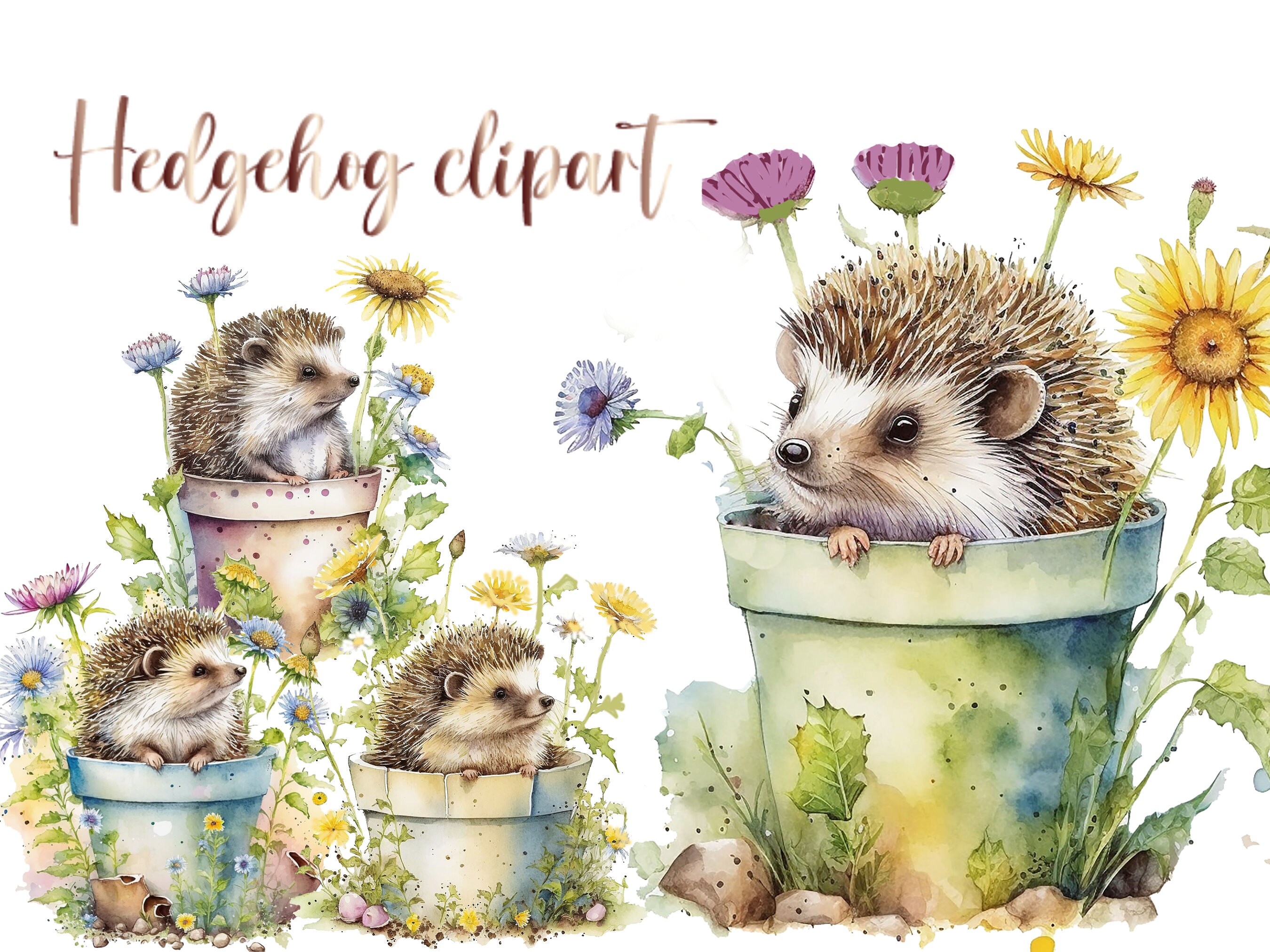 Woodland Hedgehog Clip Art Bramble Hedgehog Art Print – Studio Q
