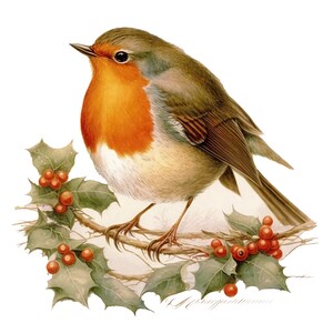 10 Robin Clipart, Christmas Robin Clipart, Red Robin Clipart, Robin ...