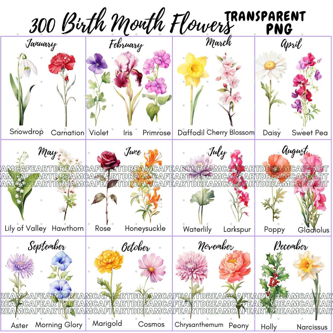 300 Birth Month Flowers Clipart, PNG, Set Watercolor, Watercolor Floral ...