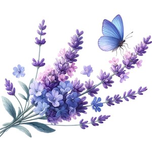 24 PNG, Flowers and Insects Clipart Bundle, Watercolor Flowers Clipart ...