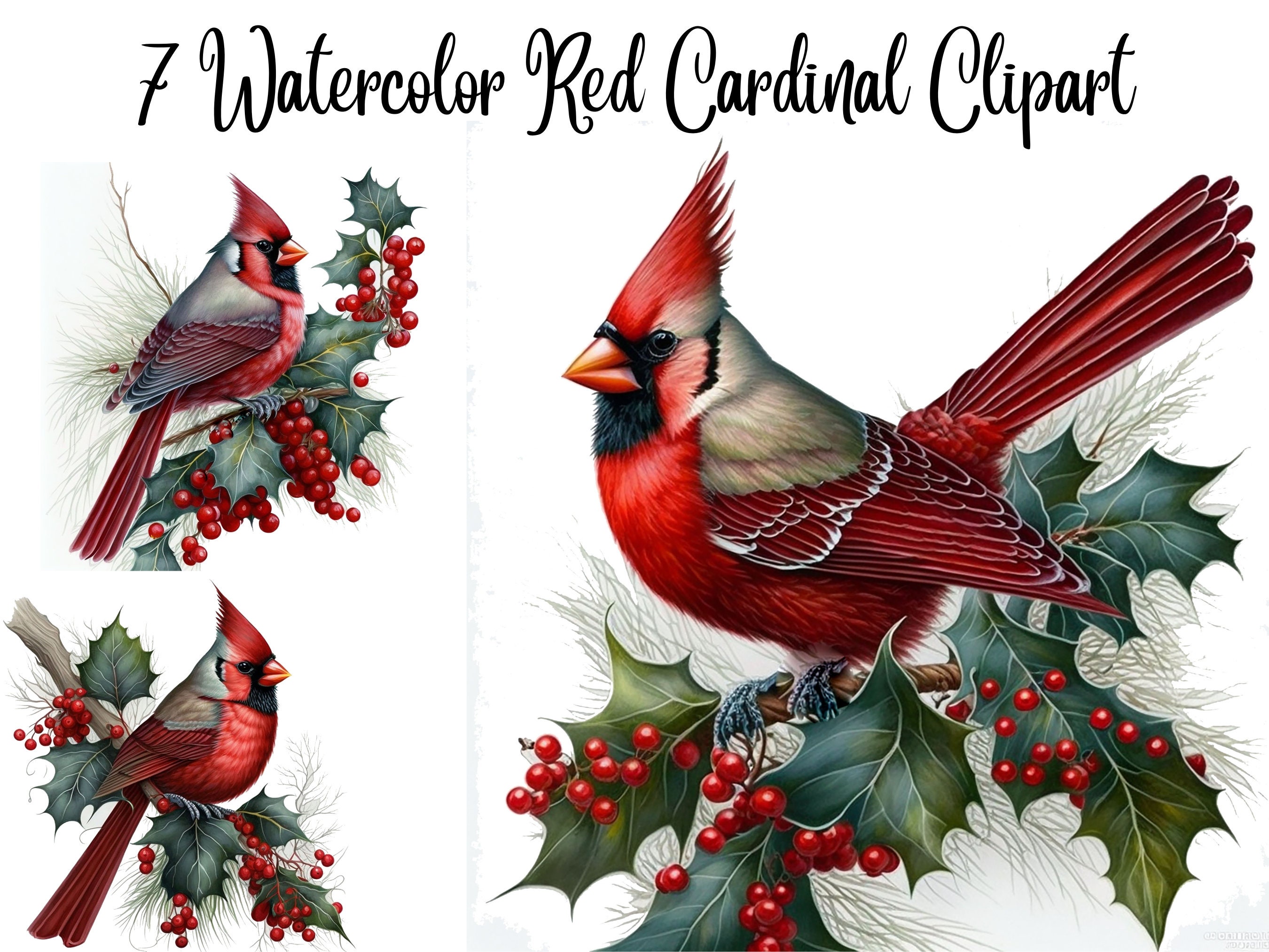 Christmas Cardinal Clipart