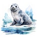20 Winter Seal Clipart Jpgs, Printable Watercolor Clipart, Winter Seal ...