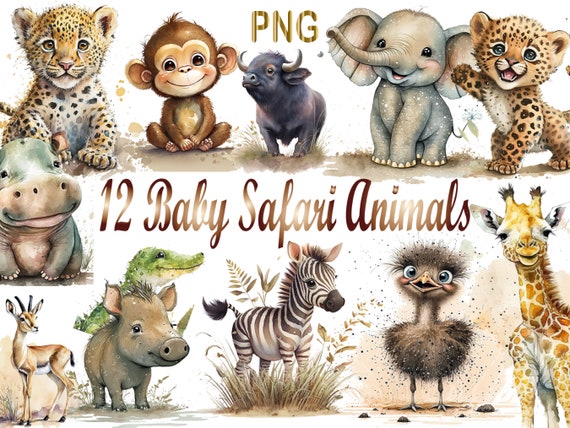 Tropical Rainforest Baby Animals