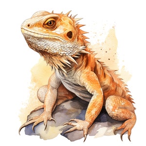 20 Watercolor Bearded Dragon Clipart PNG, Bearded Dragon Clipart ...