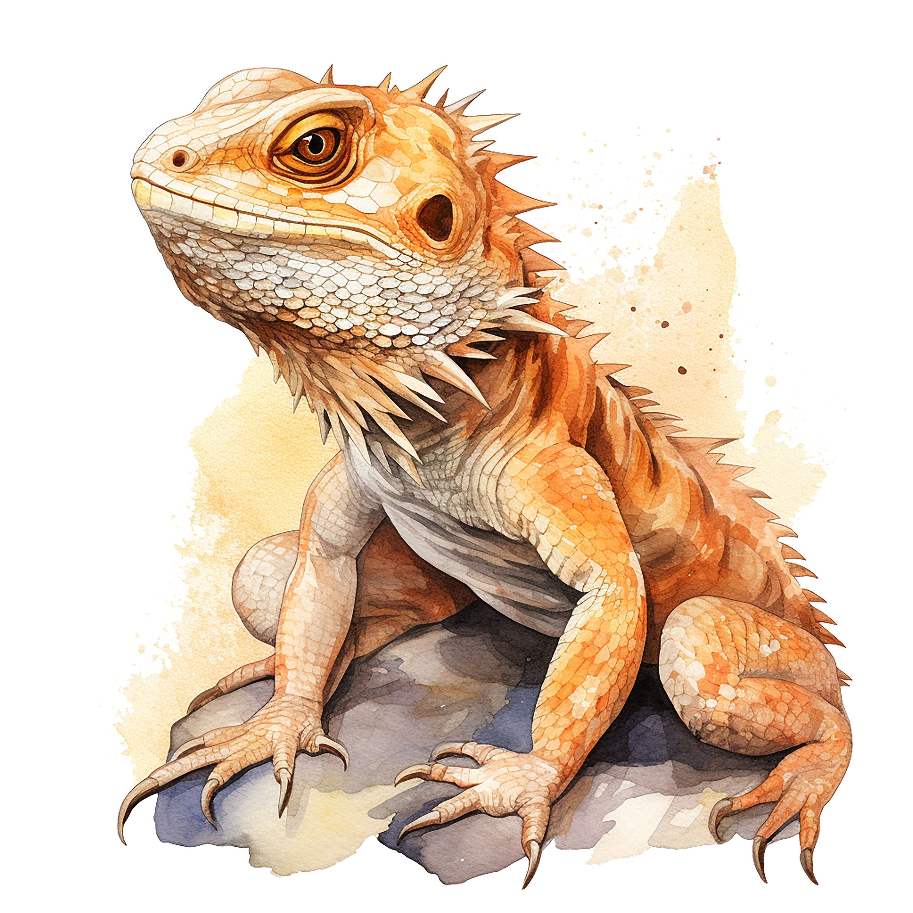 20 Watercolor Bearded Dragon PNG Clipart, Bearded Dragon Clipart Bundle ...