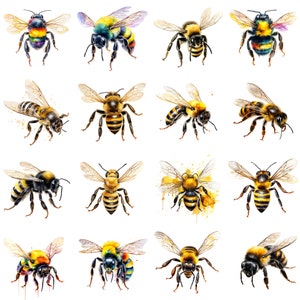 57 Watercolor Bumblebee Clipart Png,bee Clipart,bee Sublimation ...