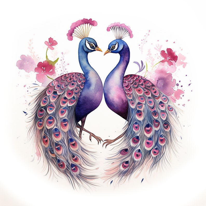 15 Peacocks Birds Clipart Jpgs, Valentine Peacocks Clipart, Valentines ...