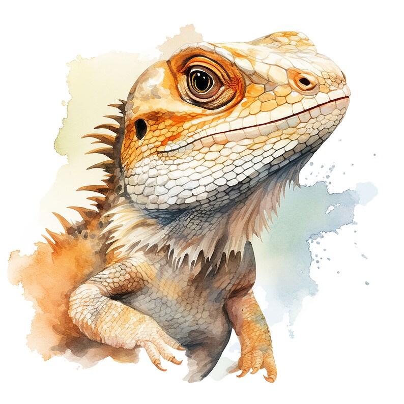 20 Watercolor Bearded Dragon PNG Clipart, Bearded Dragon Clipart Bundle ...