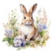 20 Spring Hare Clipart Jpgs, Printable Watercolor Clipart, Sping Rabbit ...
