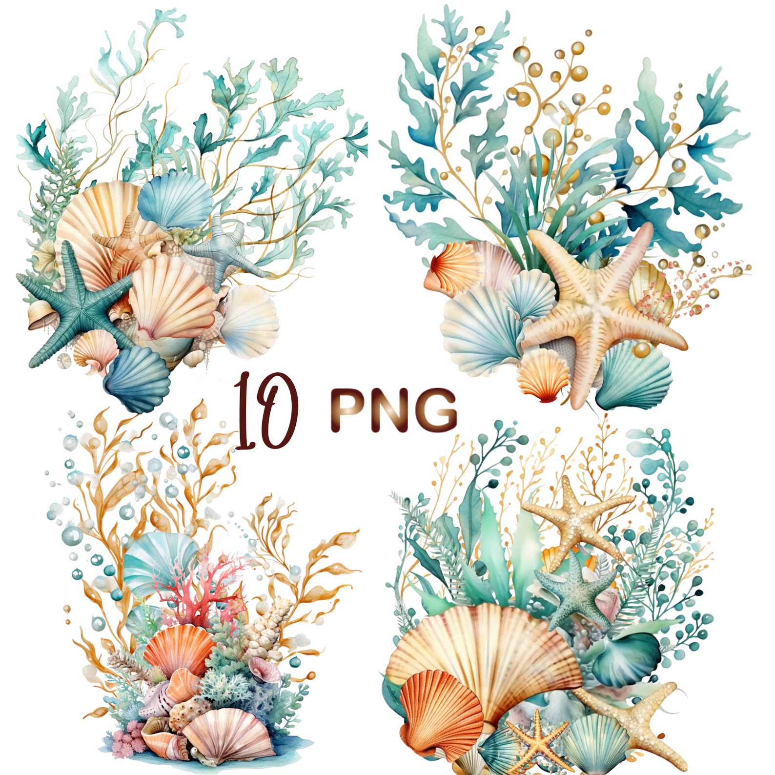10 Watercolor Seashell Clipart PNG, Beach Clipart, Nautical Clipart ...