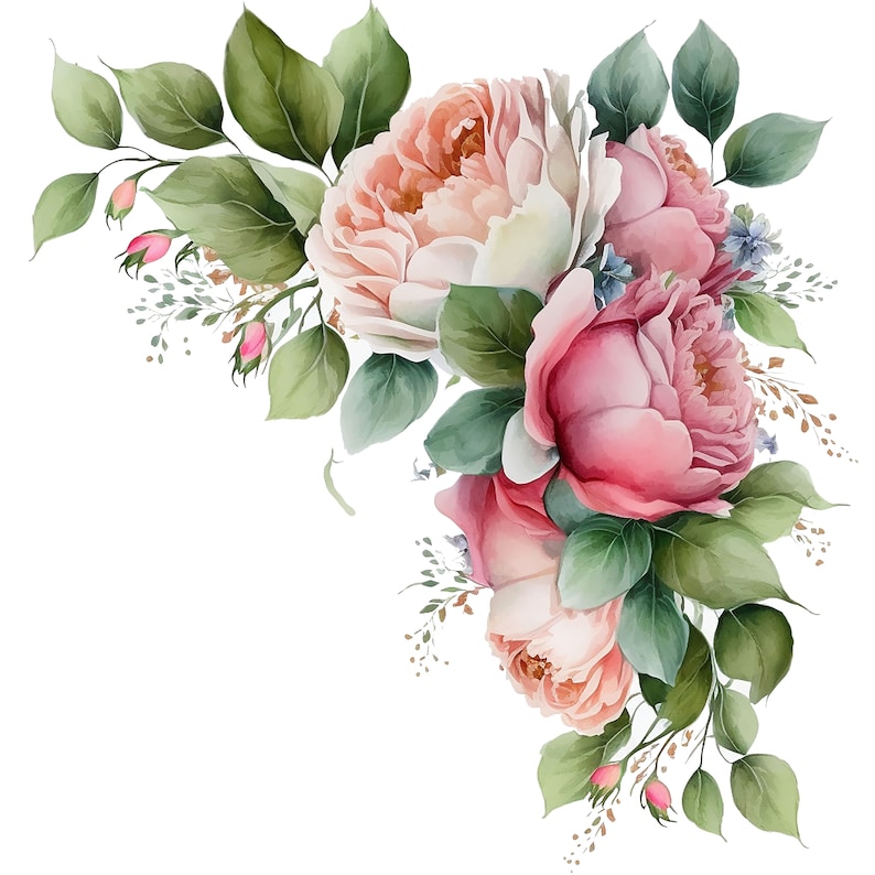 12 Peony Frames Png, Floral Clipart, Watercolor Flower Border, Peony ...