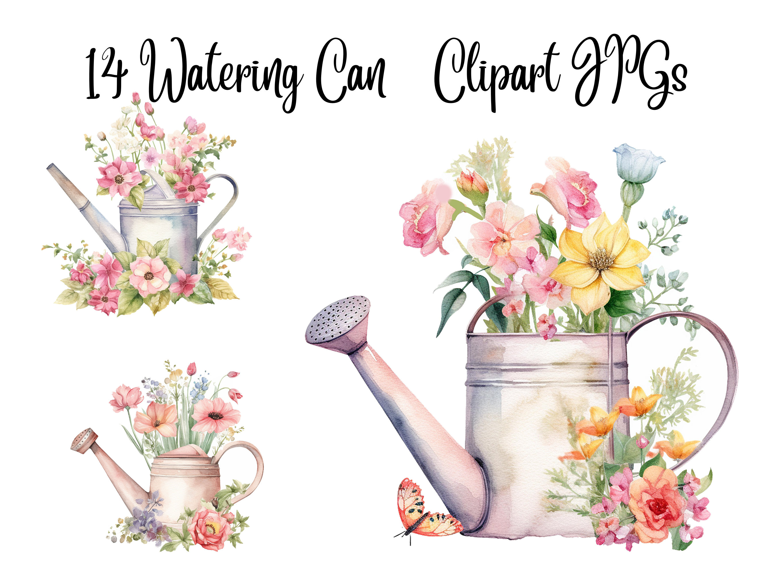 Watering Can Watering Flowers