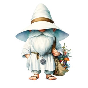 25 PNG, Doctor Gnome Clipart Bundle, Gnome Veterinarian Animal ...