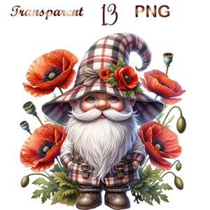13 Birth Month Flower Clipart, Birth Month Flower Gnome, Poppy Gnome ...