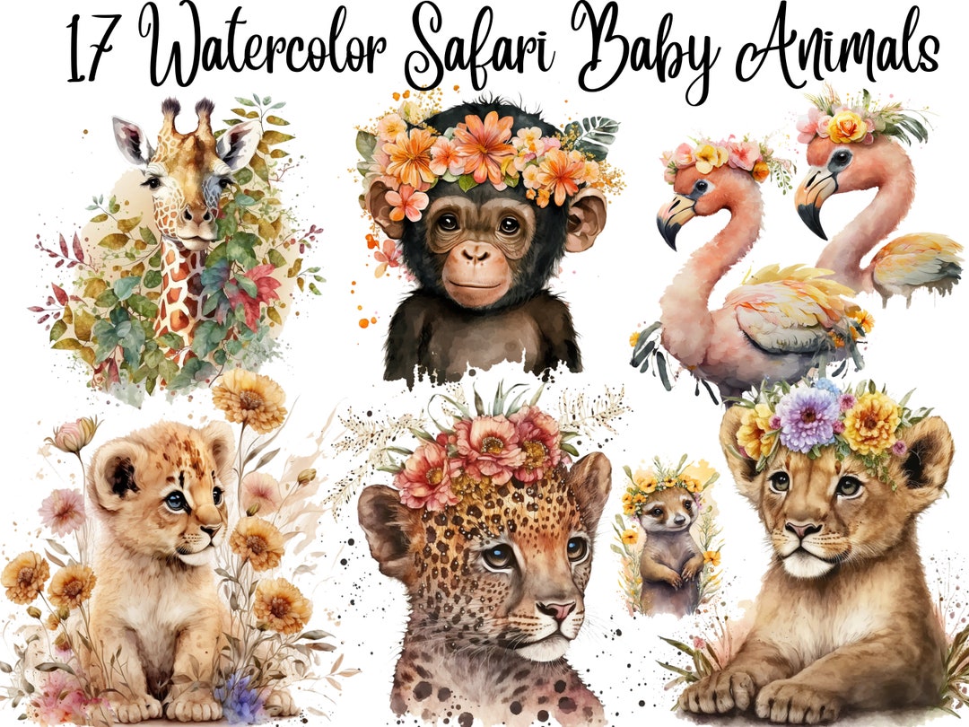 17 Safari Baby Animals Watercolor Clipart, Jpgs, Digital Crafting ...