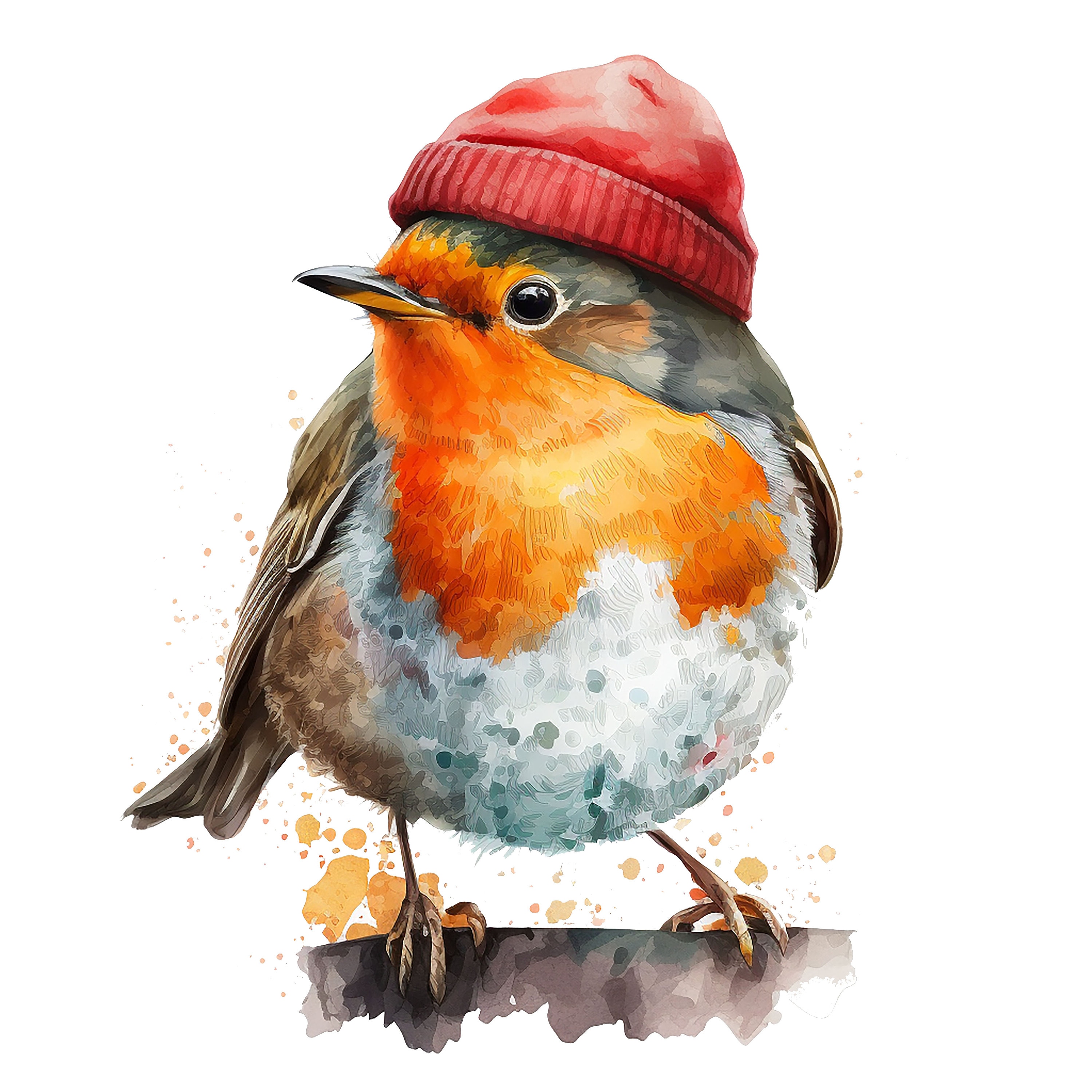11 Robin Clipart Christmas Robin Clipart Red Robin Clipart - Etsy UK