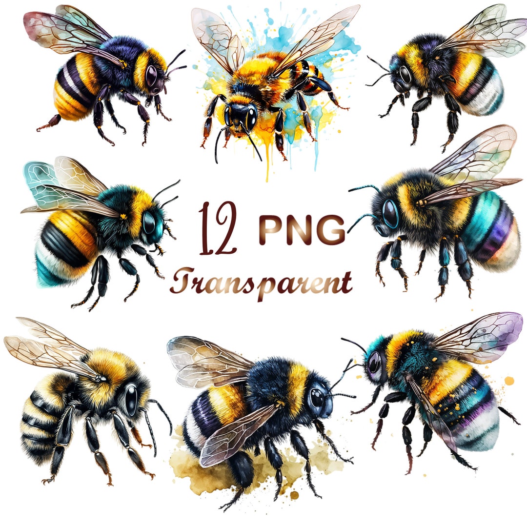 12 Watercolor Bumblebee Png, Bee Clipart, Watercolor Bee Clipart Png ...
