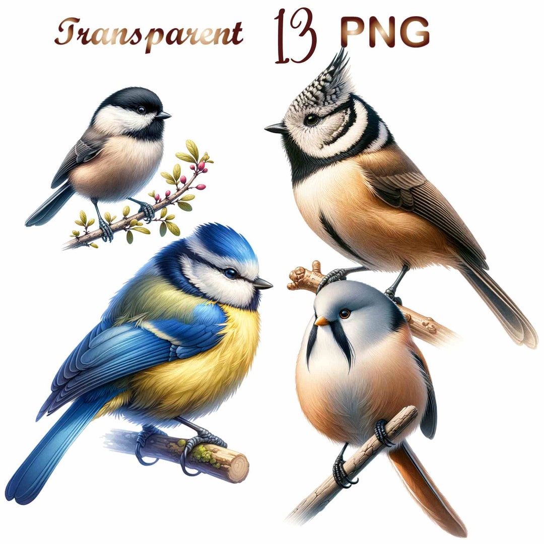 13 Watercolor Birds Clipart Bundle, Spring Birds Clipart, Birds Bundle ...