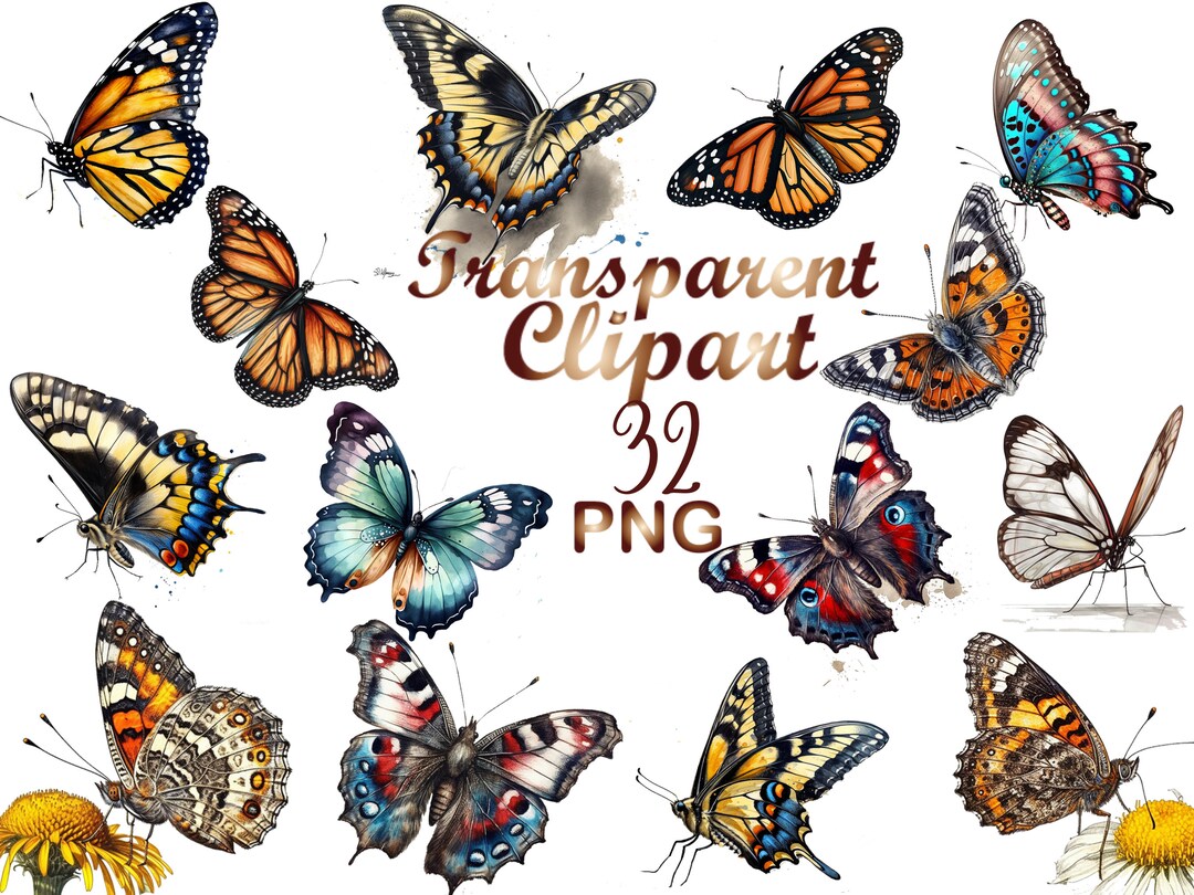 32 Monarch Butterfly Clipart, Png,watercolor Butterfly Png,floral ...