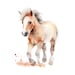 10 Baby Horse Clipart, Watercolor Art, Jpgs, Commercial Use, Digital ...