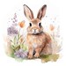 20 Spring Hare Clipart Jpgs, Printable Watercolor Clipart, Sping Rabbit ...