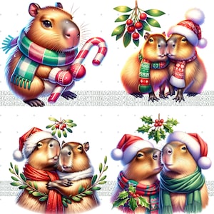 25 PNG Christmas Capybara Clipart Bundle | Cute Holiday Capybaras ...