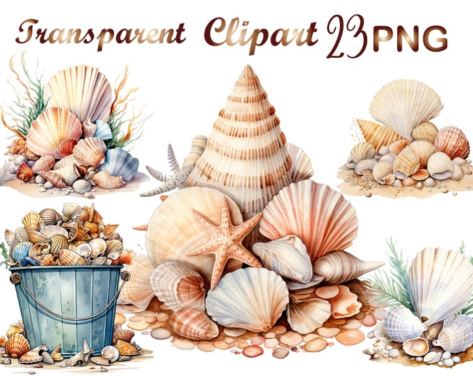 Watercolor Seashells Clipart. Handpainted Summer Set. Nautical Clipart ...