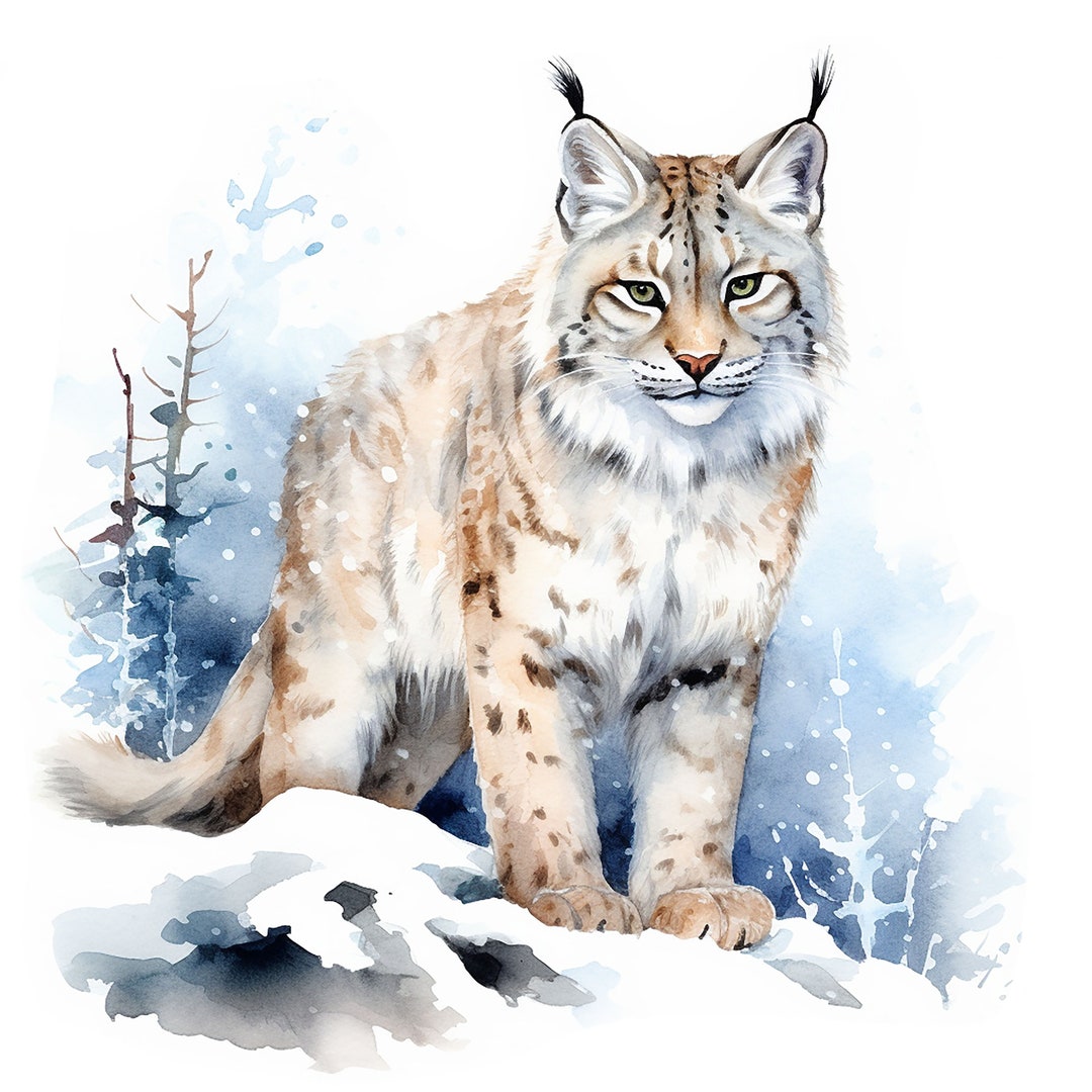 20 Winter Lynx Clipartjpgs, Printable Watercolor Clipart, Winter Arctic ...