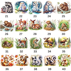 50 PNG, Woodland Clipart Bundle, Cute Forest Animals,forest Animals ...