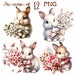 12 Bunny Png, Bunnies Clipart, Cherry Blossom Clipart,cute Bunny Png ...