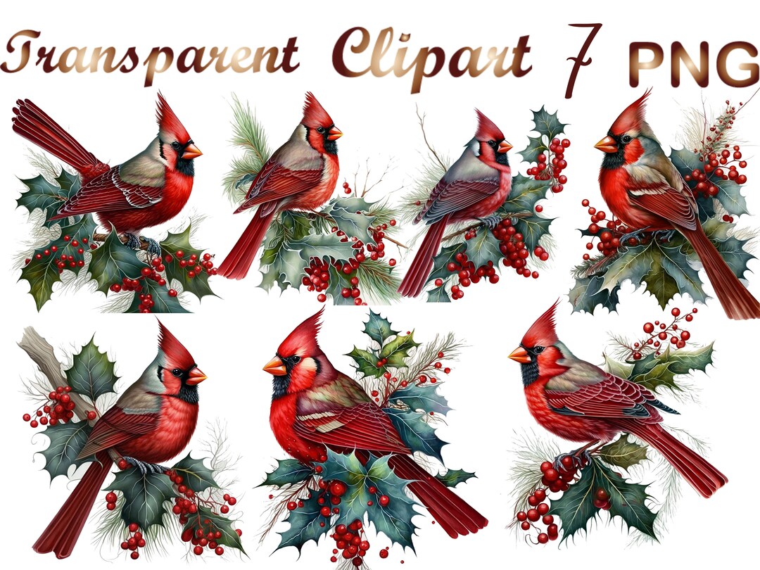 7 Christmas Red Cardinal Clipart PNG, Watercolor Clipart PNG, Bird ...