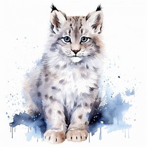 20 Winter Lynx Clipartjpgs, Printable Watercolor Clipart, Winter Arctic ...