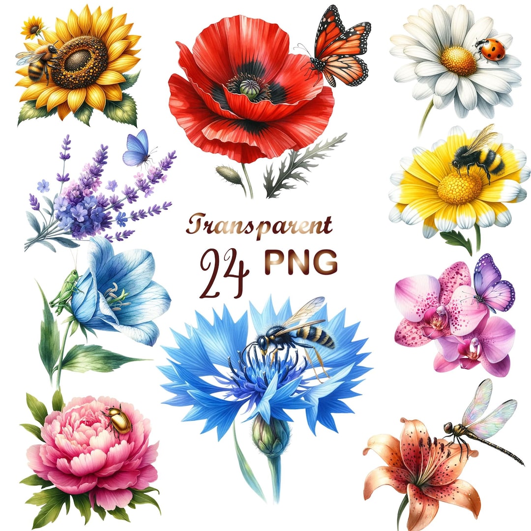 24 PNG, Flowers and Insects Clipart Bundle, Watercolor Flowers Clipart ...