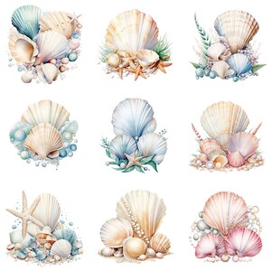25 Watercolor Seashells Clipart, Jpgs, Seashells JPG, Seashells Clipart ...