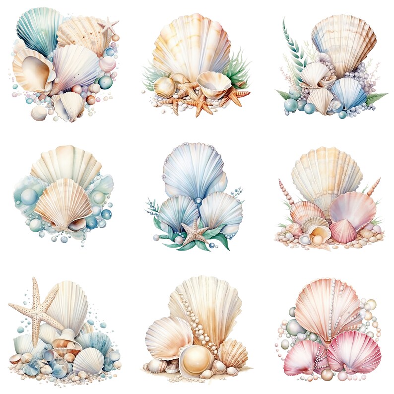 25 Watercolor Seashells Clipart, Jpgs, Seashells JPG, Seashells Clipart ...