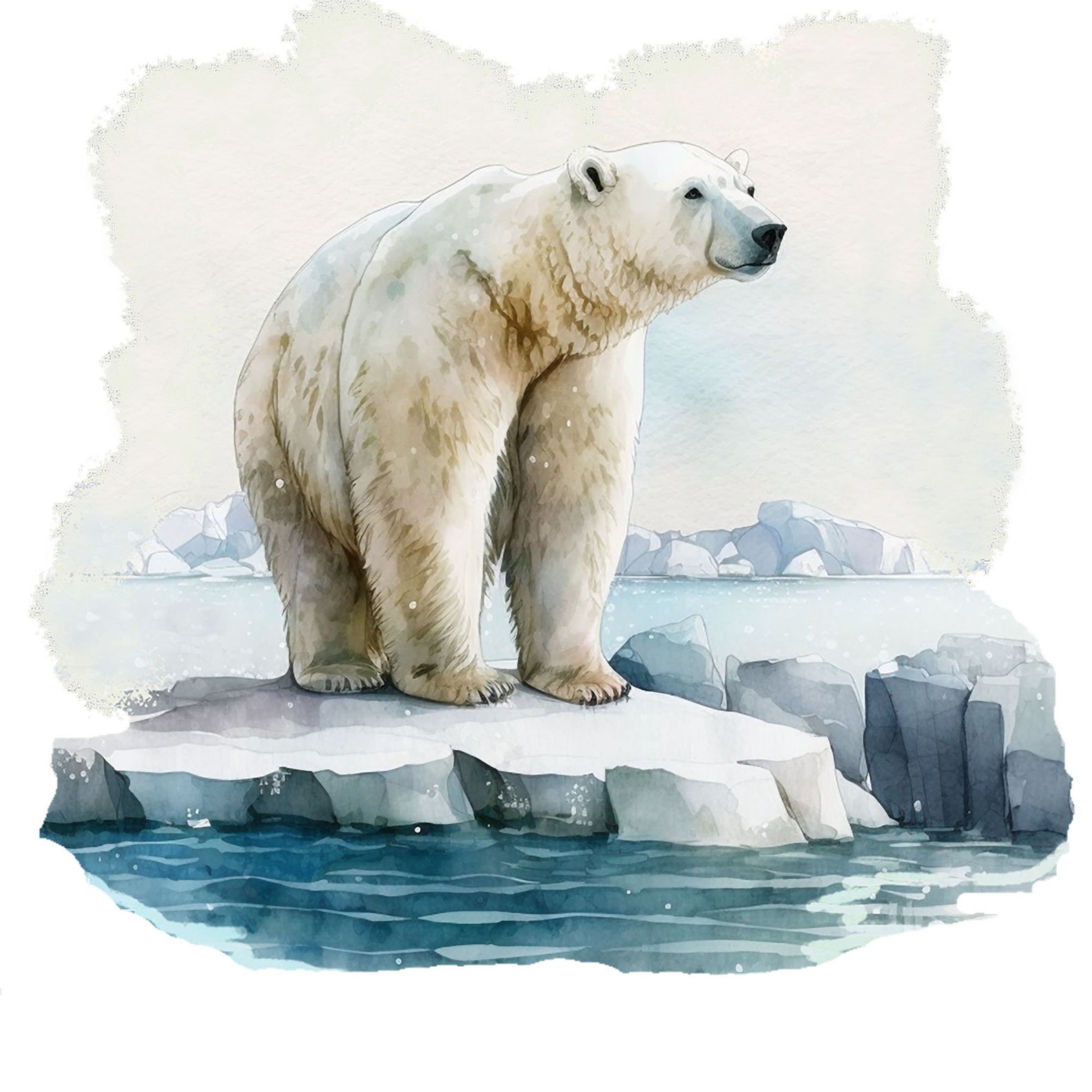 13 Watercolor Polar Bear Clipart, Jpgs, Commercial Use, Digital ...